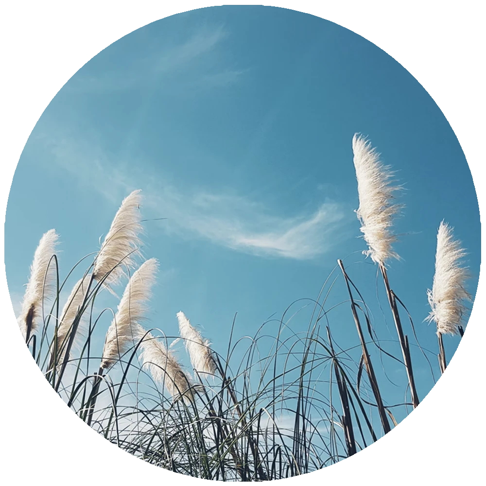 Diamond Evolution - Nature Untouched™